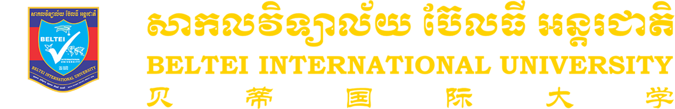 BELTEI IU Assessment System